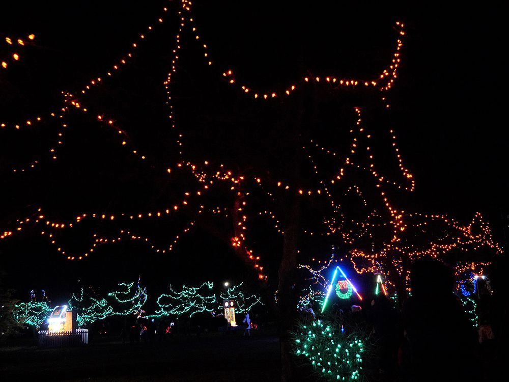 Panorama lights up downtown Simcoe | The Stratford Beacon Herald