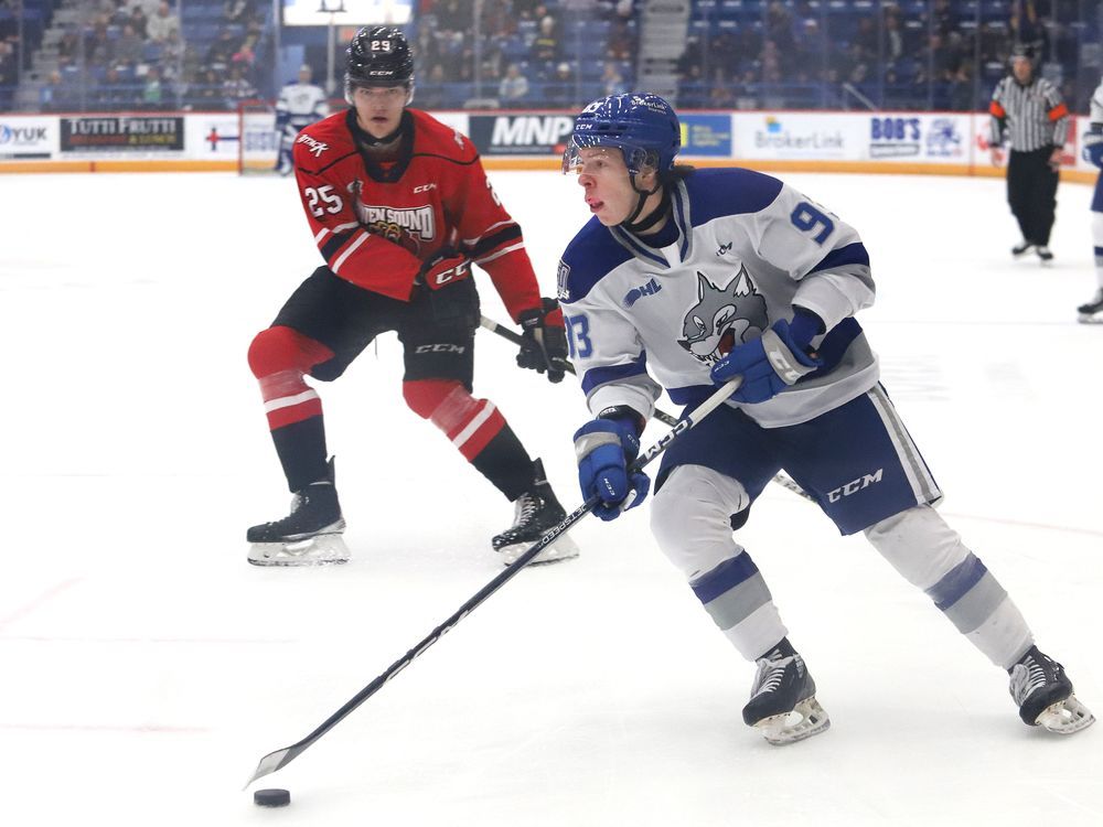 Wolf Tracks: Mania's exciting OHL journey | Sudbury Star