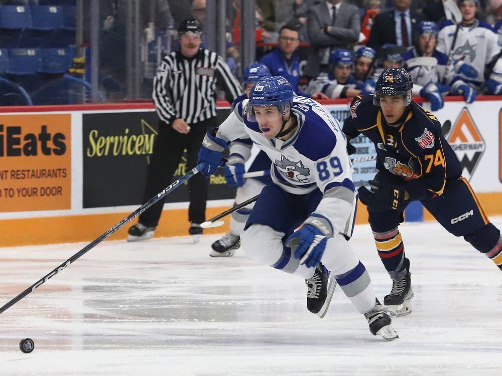OHL investigation adds another angle to Wolves-Colts rivalry | Sudbury Star