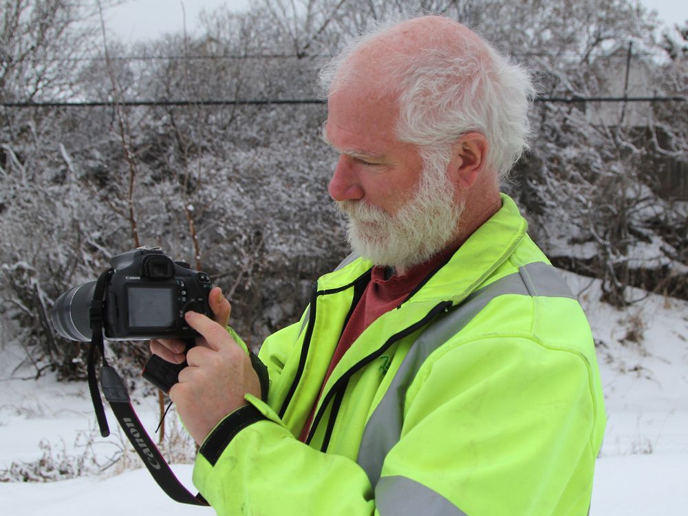 Positive Wildlife Trends Seen In Recent Annual Bird Counts The Daily positive-wildlife-trends-seen-in-recent-annual-bird-counts-the-daily