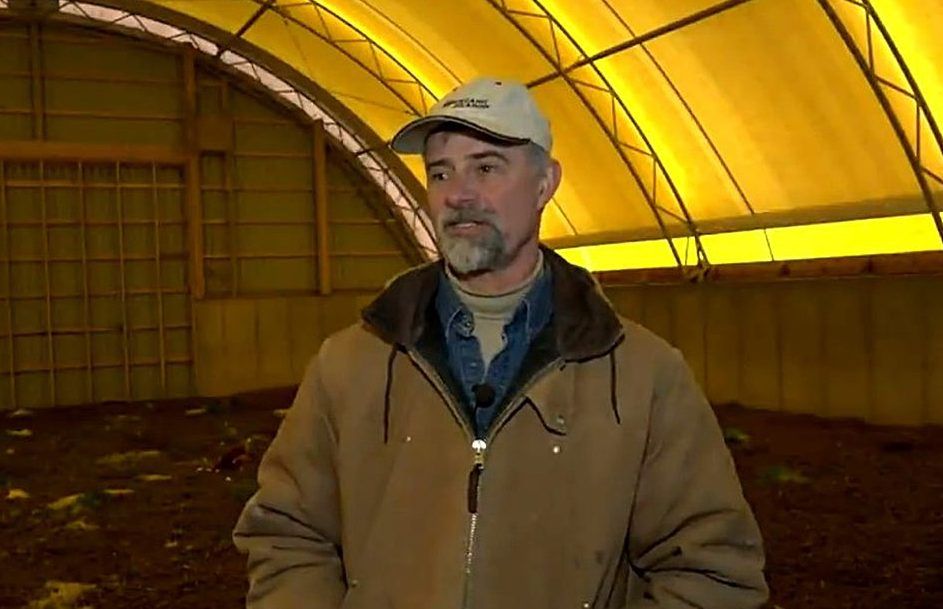 Bruce County farmer strives to replicate eggs of long ago | Owen Sound ...