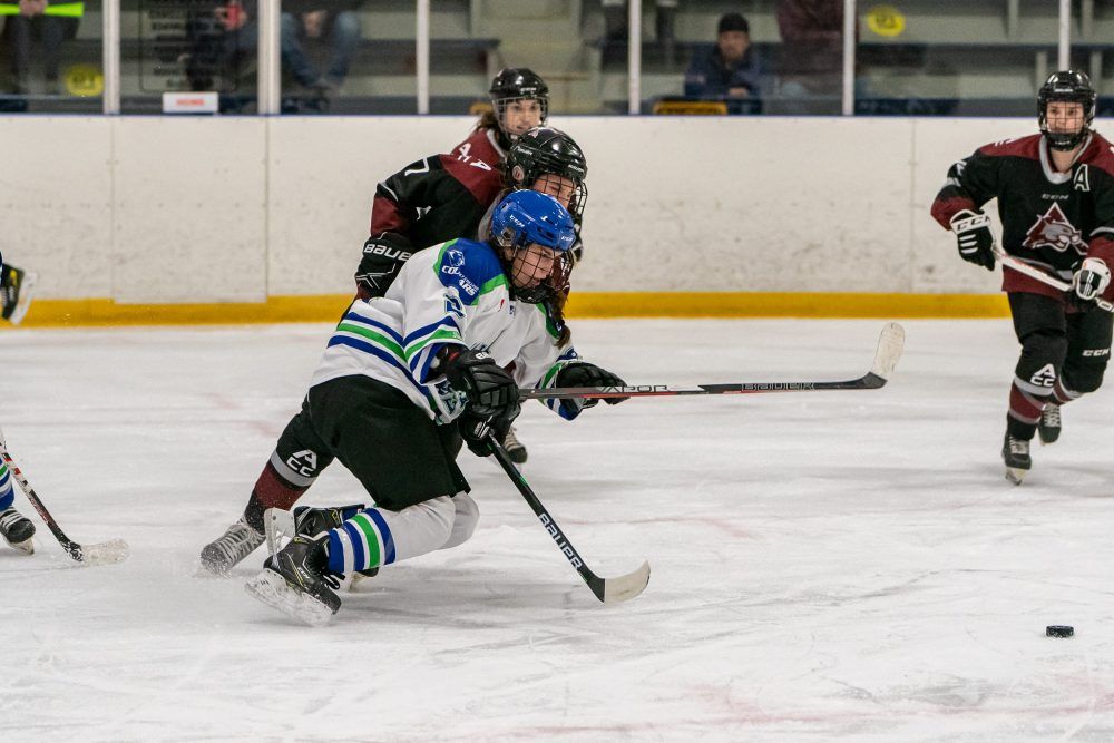 Sault College Cougars Sault College ACHA Rankin Arena | Sault Star