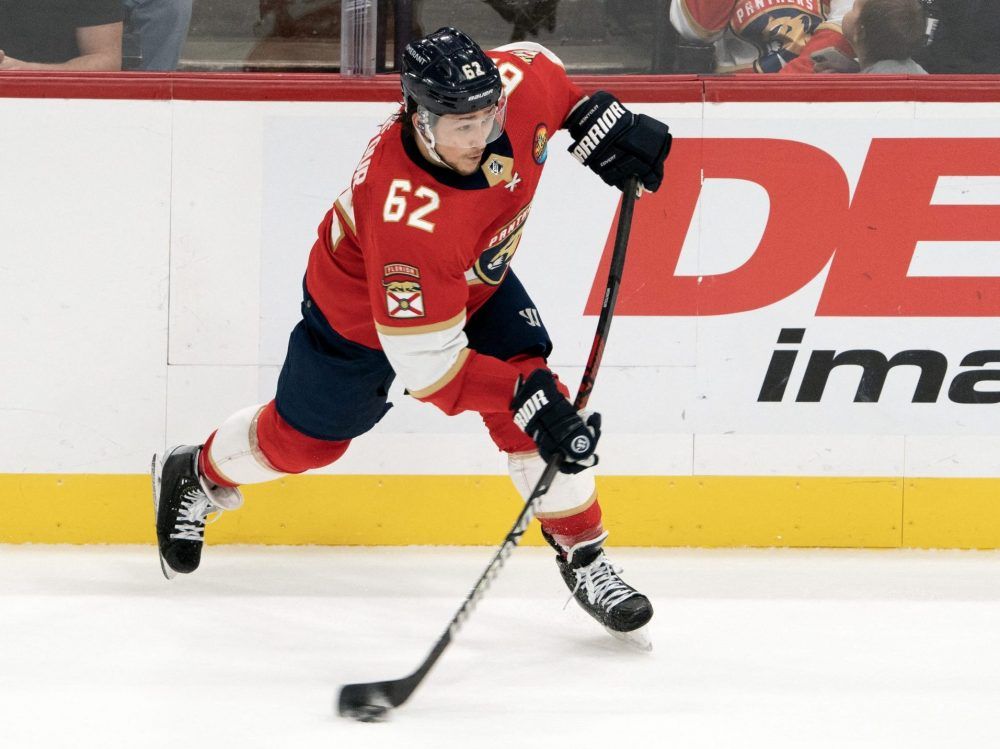 Streaking Montour sets Panthers' mark | Brantford Expositor