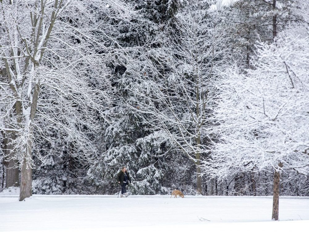 Deep freeze: Winter roars back with blast of 'very cold arctic air ...