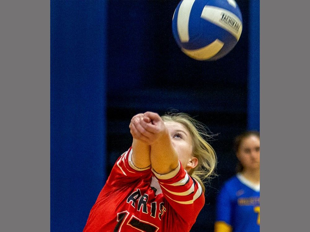 Panthers hope for late playoff push | Brantford Expositor