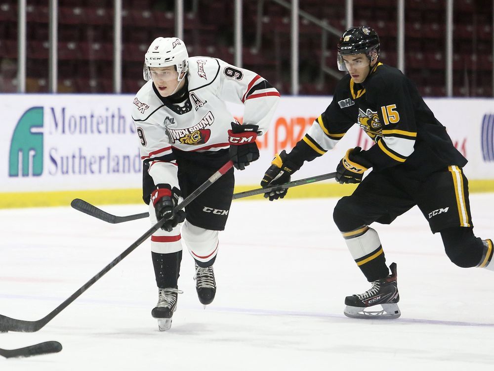HOCKEY NOTEBOOK: St. Marys' Sedley a key part of Owen Sound's attack ...