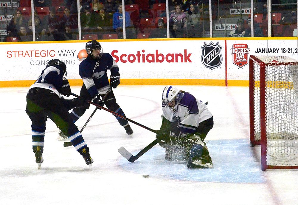 Wild crowd pumps up the volume for Hockey Day high school games | Owen ...
