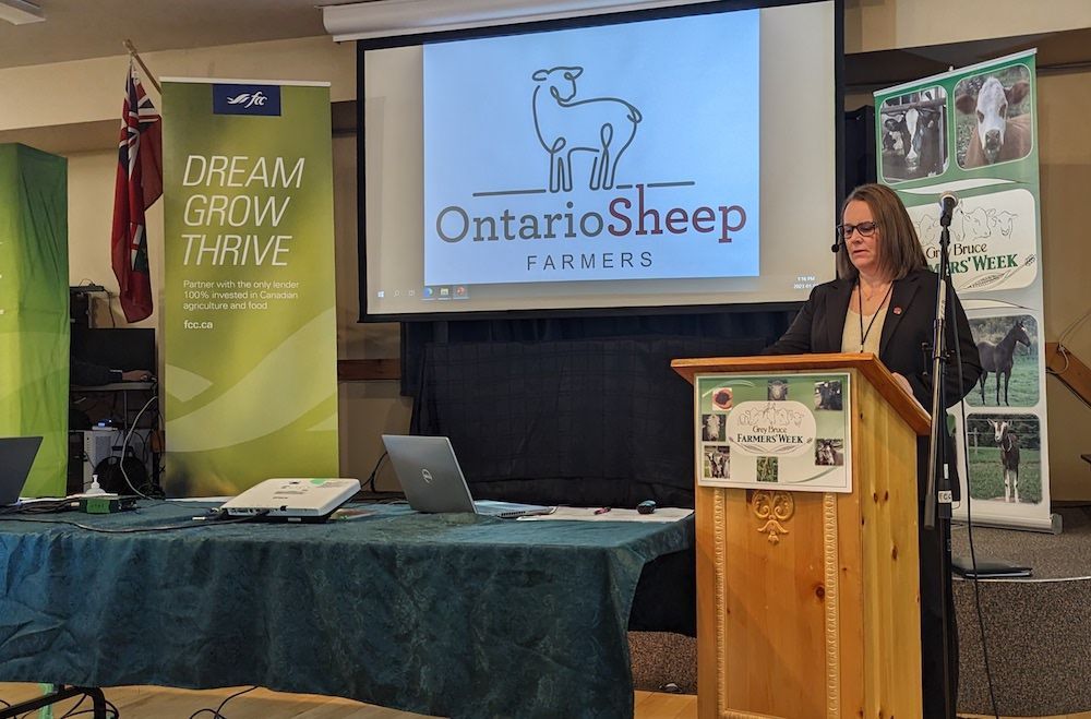 Ontario Sheep Farmer's look for sector growth with new strategic ...