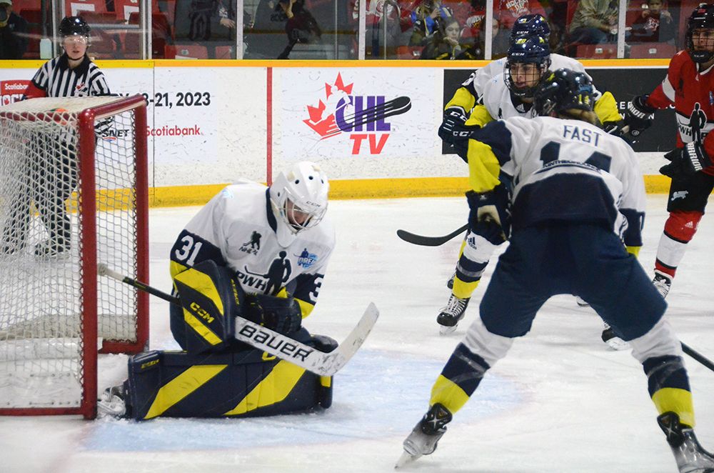 PWHPA wows the crowd to kick-off Hockey Day at the Bayshore | Owen ...