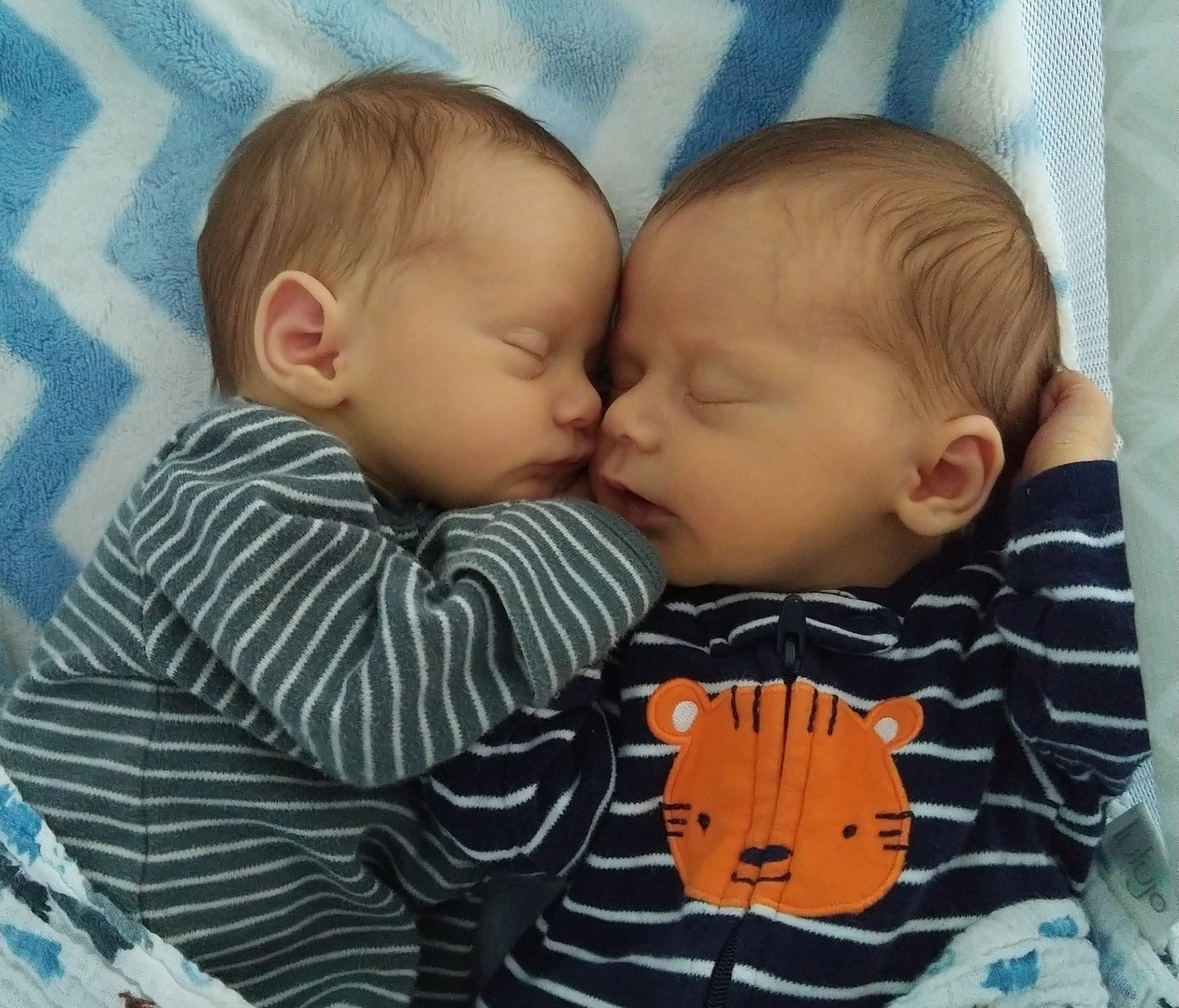 Meet Sudbury's newest arrivals (updated) | Sudbury Star