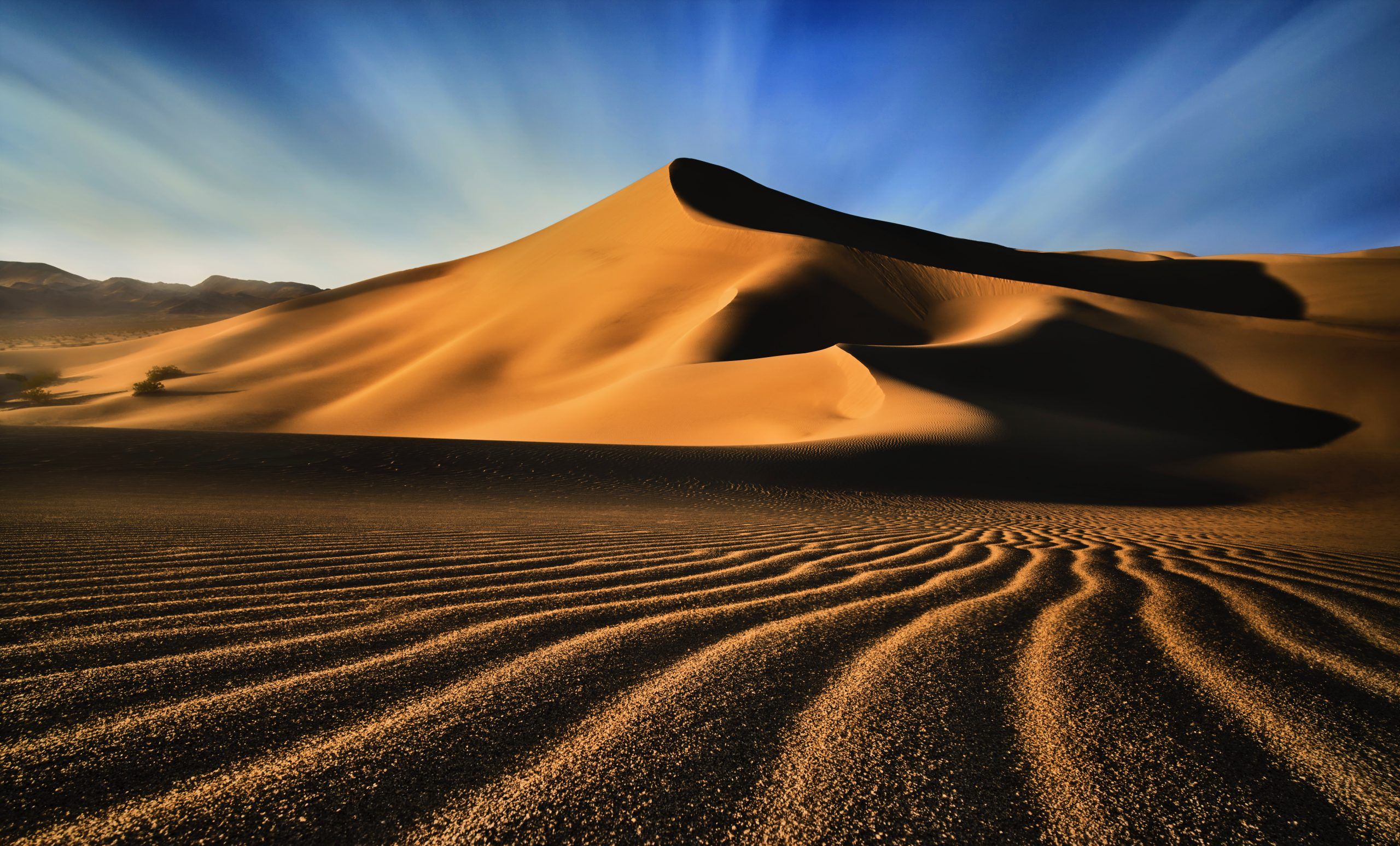 Spruce Grove photographer making international waves | Spruce Grove ...