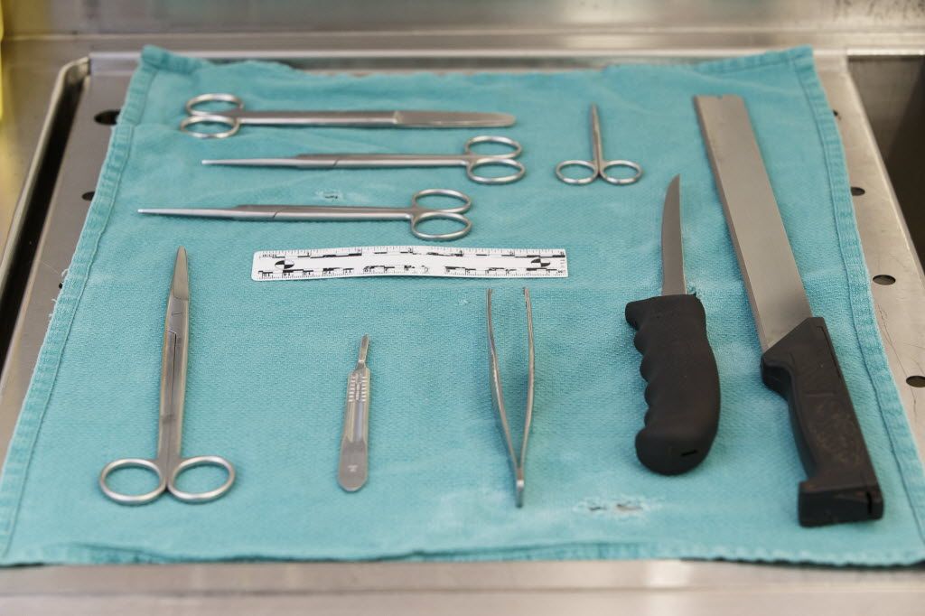 Sault forensic pathology lab has ‘extensive’ workload: Top pathologist ...