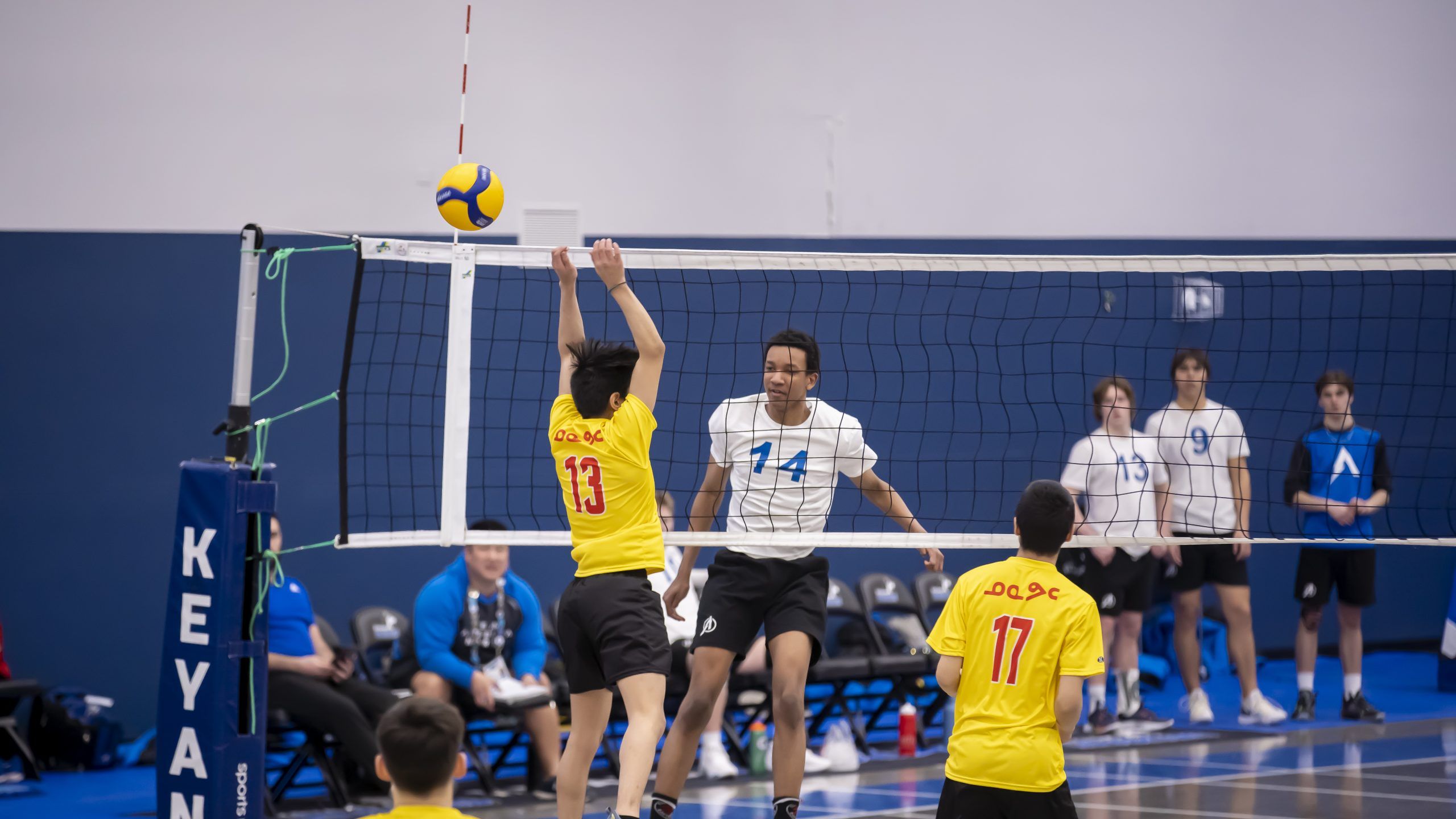 Undefeated Team Alberta wins gold in volleyball at Arctic Winter Games ...