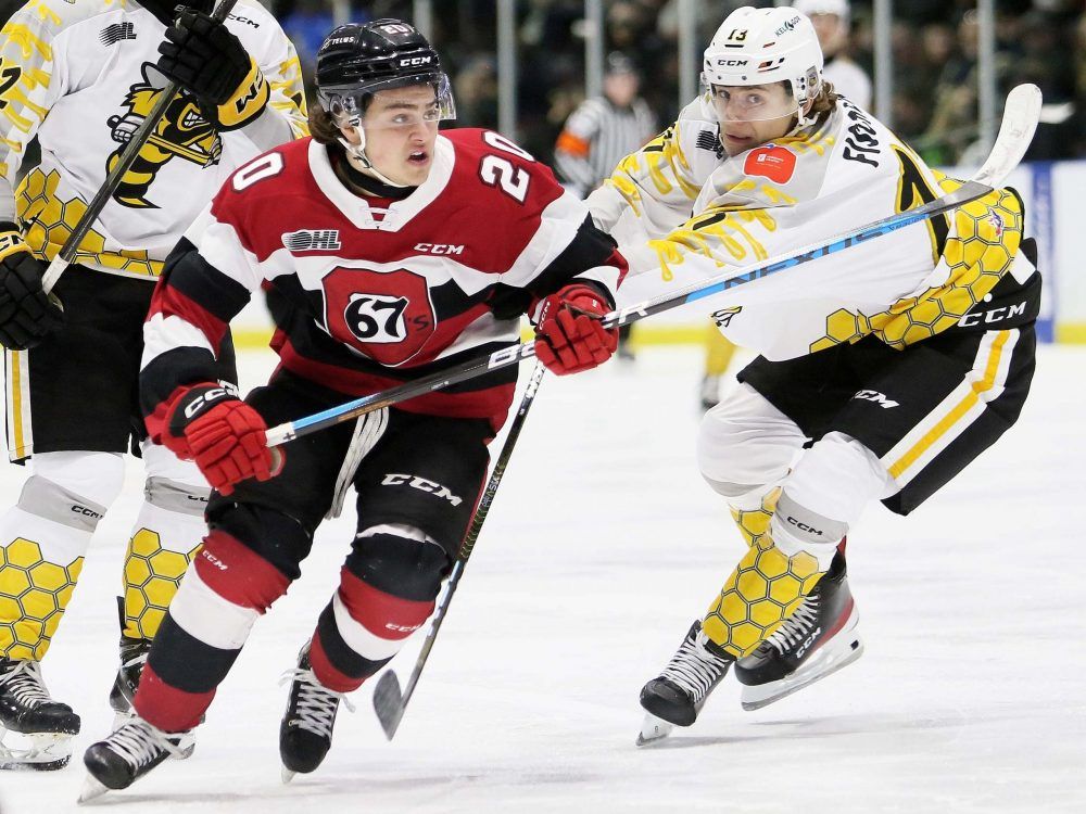 Sarnia Sting's slump continues with loss to Ottawa 67's | The Sarnia ...