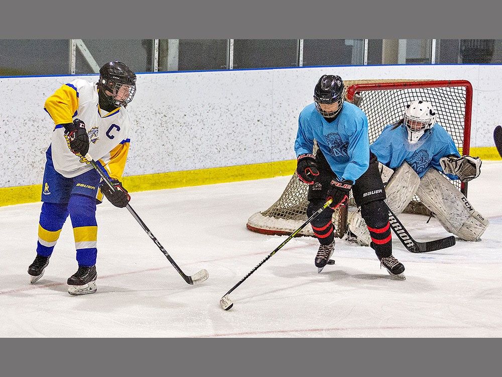Lions, Mustangs play to tie in girls high school hockey | Brantford ...