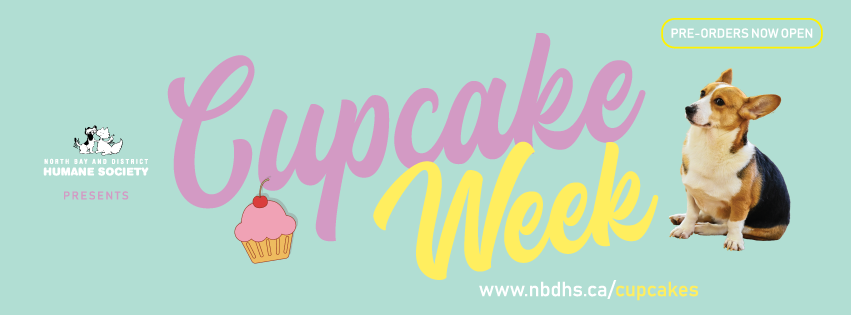 Cupcake Week supports North Bay Humane Society | North Bay Nugget