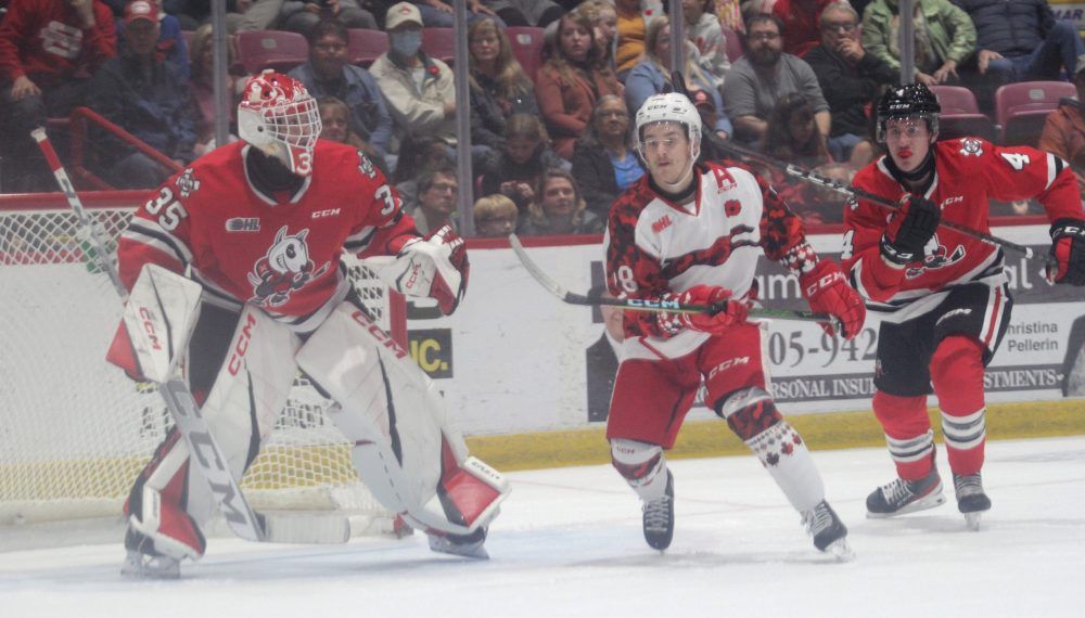 Soo Greyhounds Niagara Icedogs OHL Ontario Hockey League sault hockey ...
