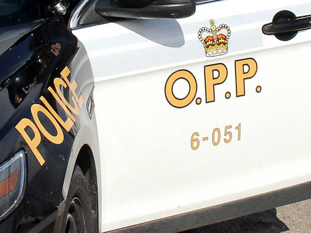OPP arrest person for various January thefts | The Kingston Whig Standard