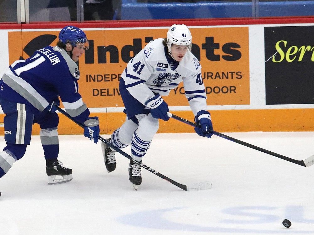 Wolves do Marc Staal proud, stifle Steelheads 4-0 | Sudbury Star