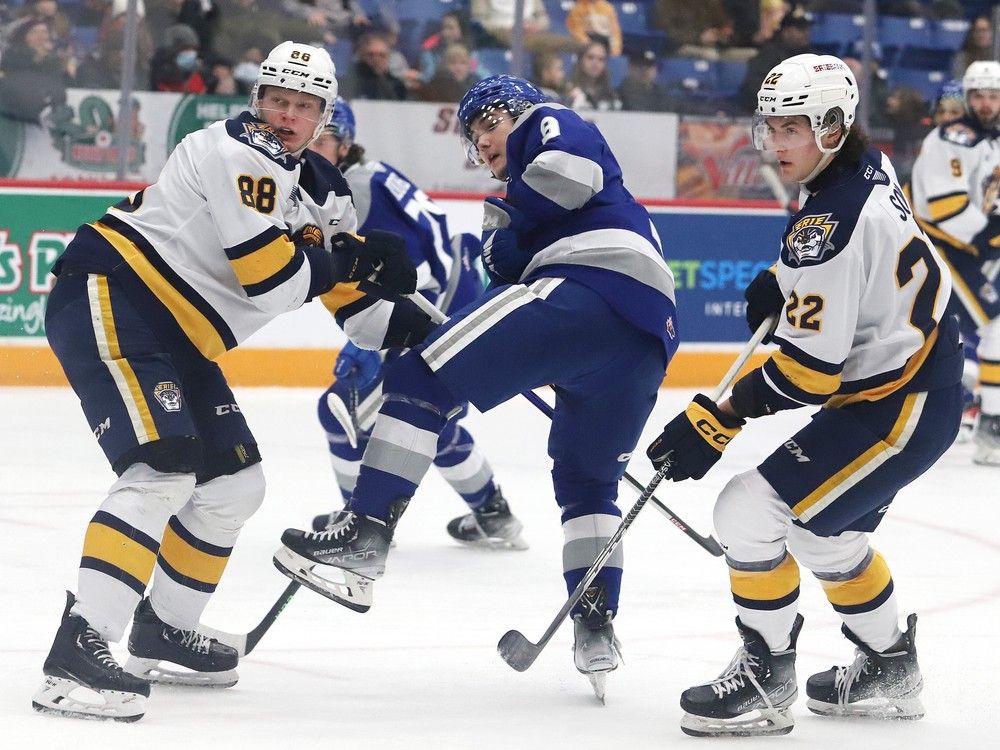 Wolves can’t close it out in Erie | Sudbury Star