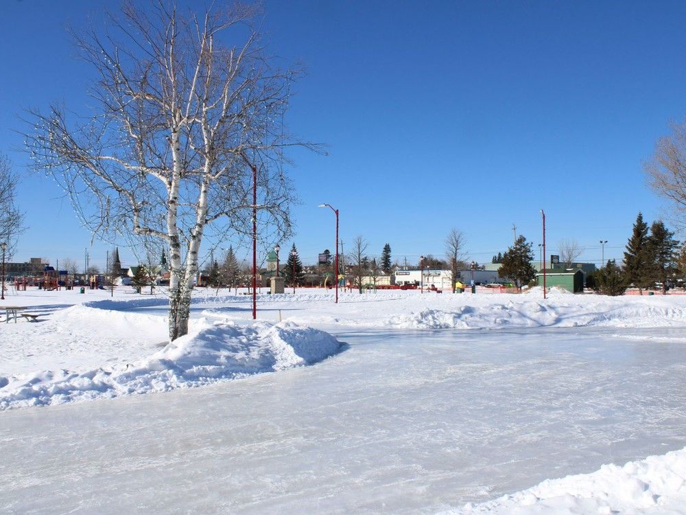 Outdoor celebration of winter at Hollinger Park on Family Day | The ...