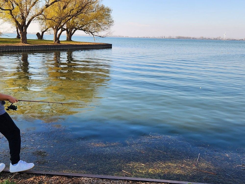 Application made to rename Dover Beach in Mitchell's Bay | The ...