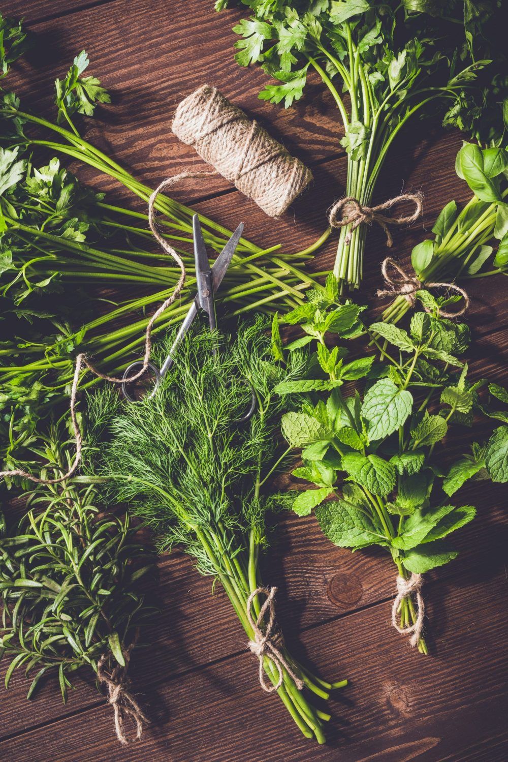Ways to preserve fresh herbs | Cold Lake Sun Ways to preserve fresh herbs | Cold Lake Sun