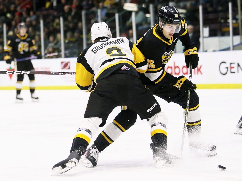 Gaudreau posts first shutout as Sting beat Bulldogs for eighth straight ...