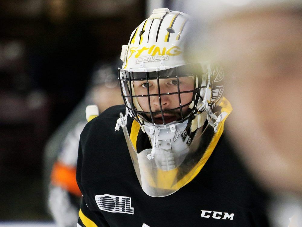 Gaudreau posts first shutout as Sting beat Bulldogs for eighth straight ...