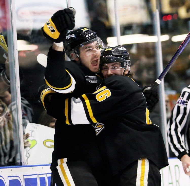 Sting start playoffs with shutout win over Storm | The Sarnia Observer
