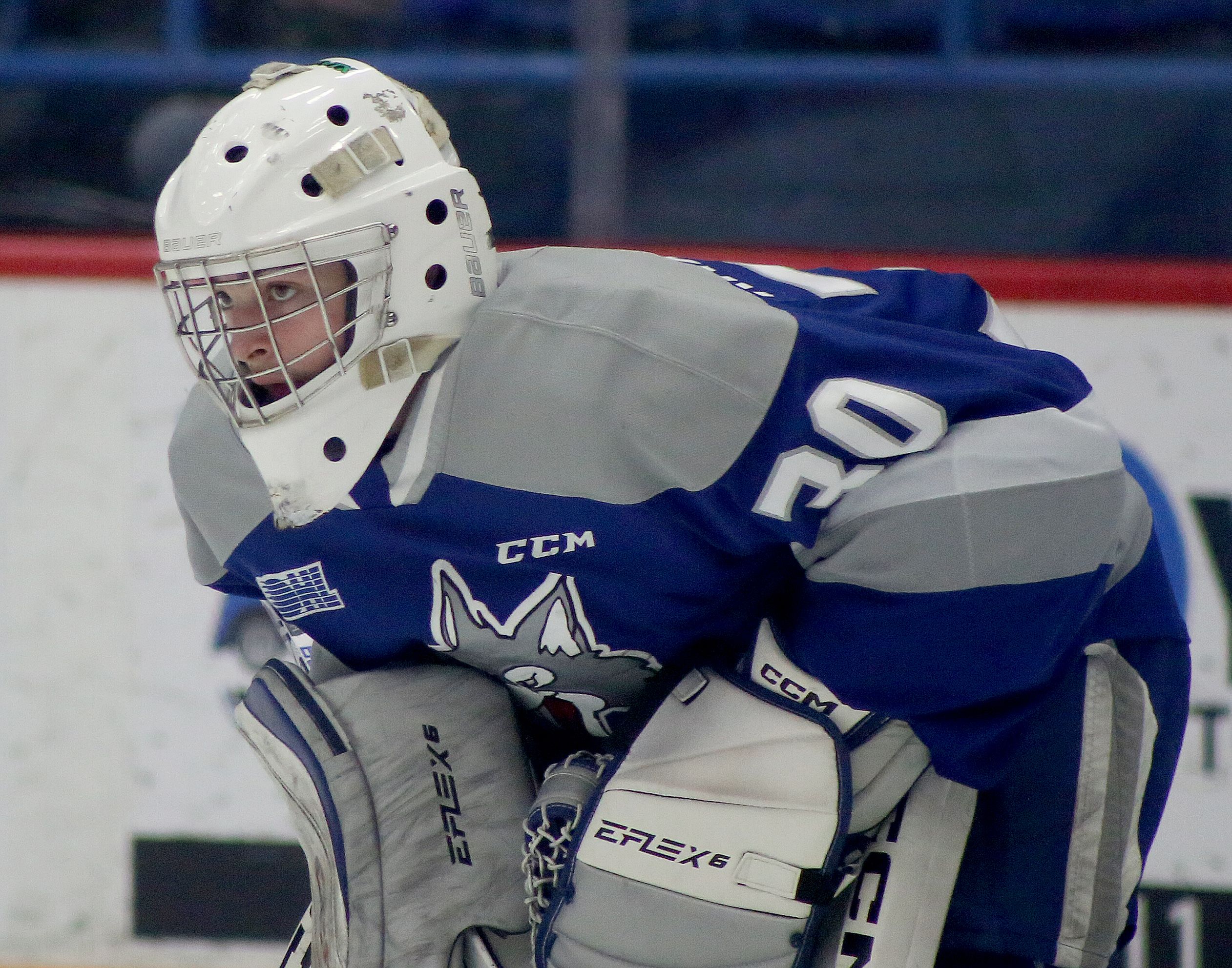 Wolf Tracks: Name a more impactful Wolves rookie goalie? | Sudbury Star