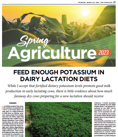 Brantford Breaking News | Local & National Headlines | Brantford Expositor