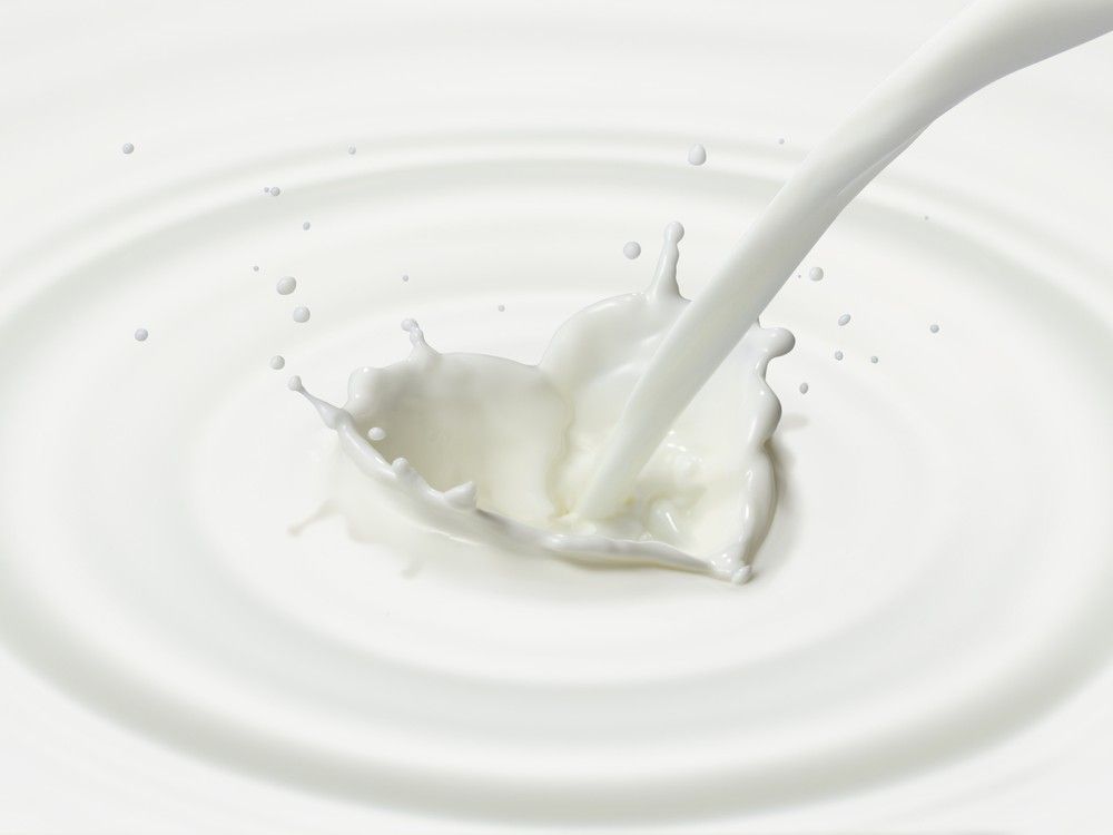 Six chefs compete for Milk Master award | Ontario Farmer