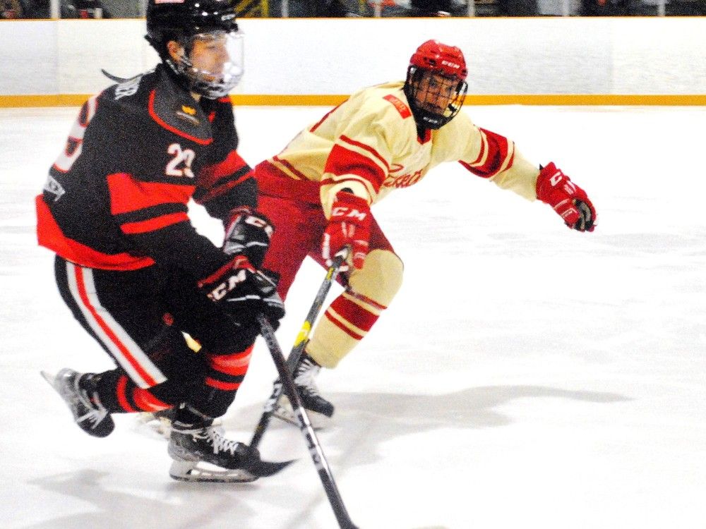 North Dundas Rockets lead South Stormont Mustangs 2-0 in EOSHL series ...