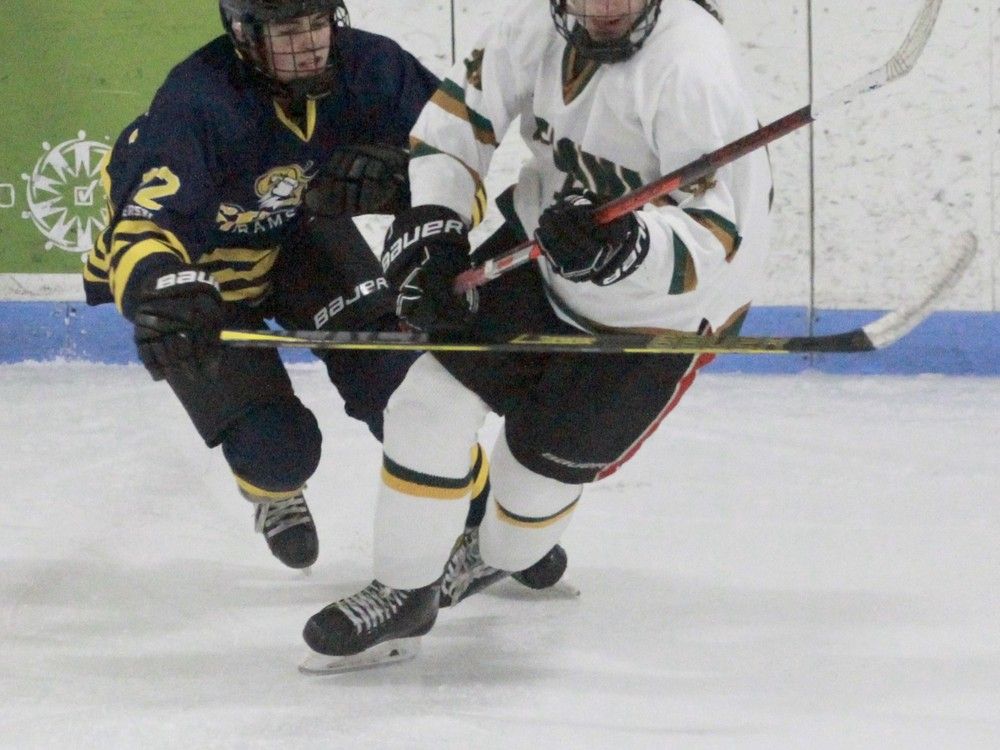 Glendale Gemini finishes fourth at WOSSAA boys' hockey championships ...