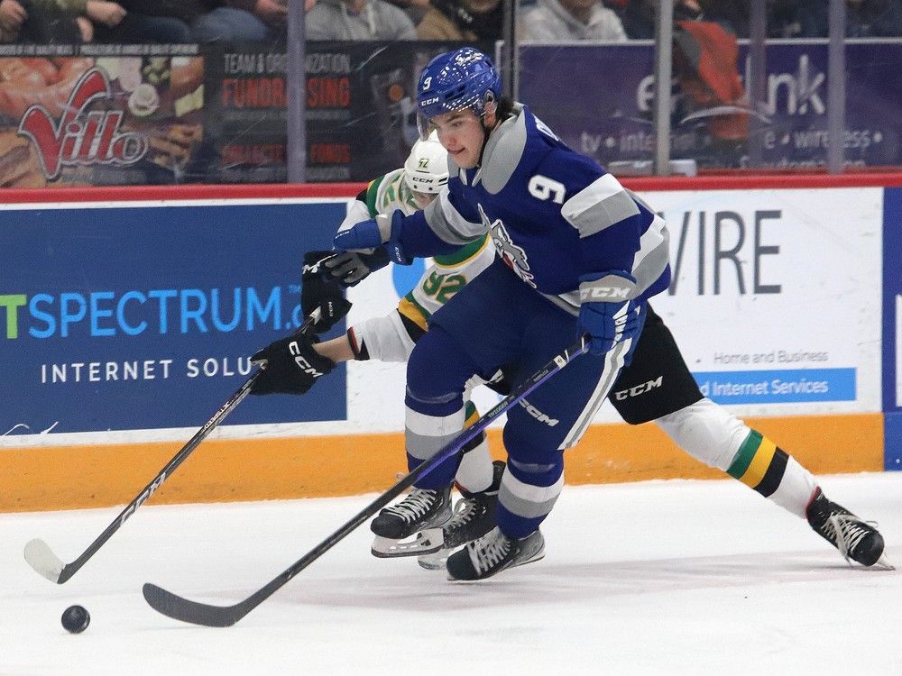 Mid-game comeback not enough as Wolves fall 5-4 to Knights | Sudbury Star