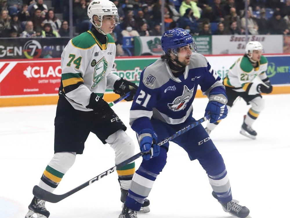 Mid-game comeback not enough as Wolves fall 5-4 to Knights | Sudbury Star