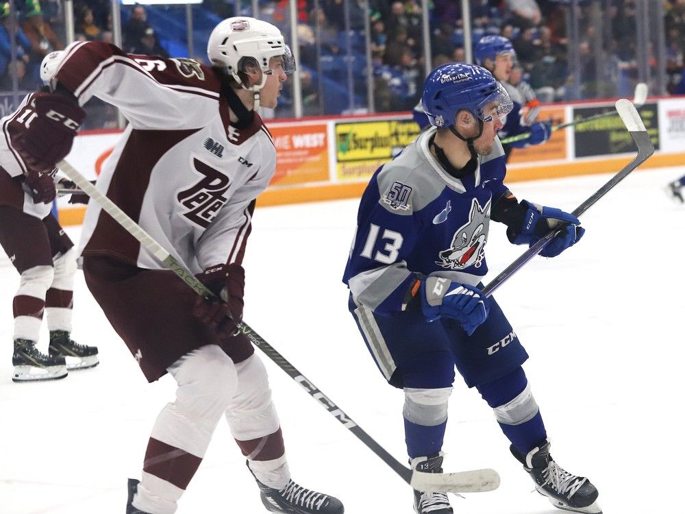 Wolves dig in to beat Petes | Sudbury Star