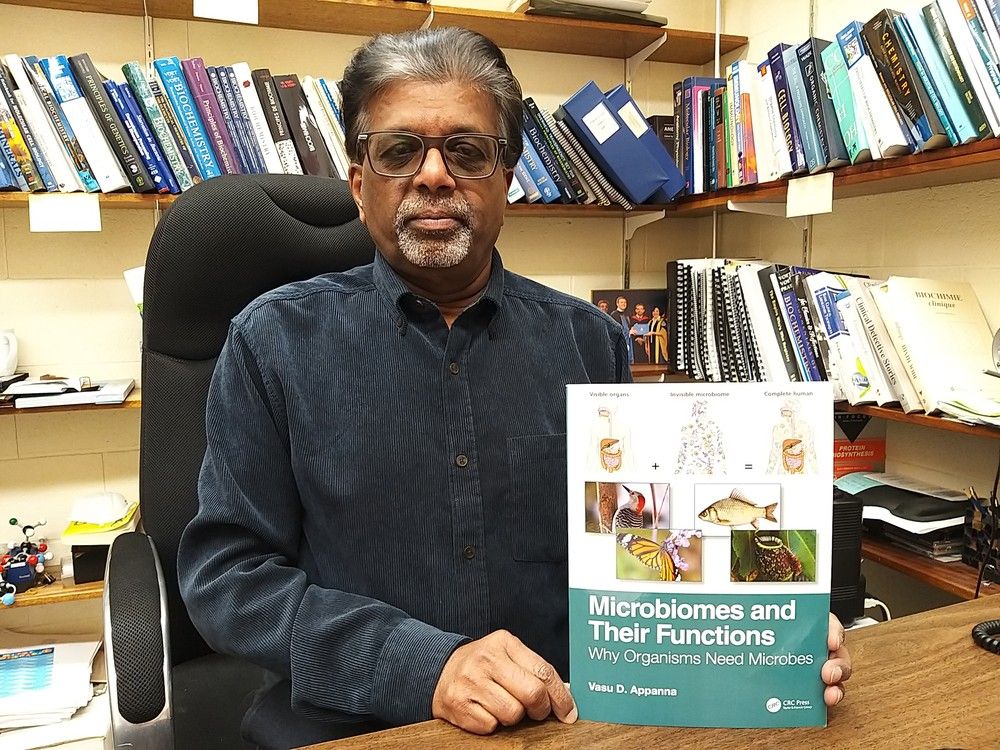 Tiny bugs a big thing for Sudbury researcher | Sudbury Star