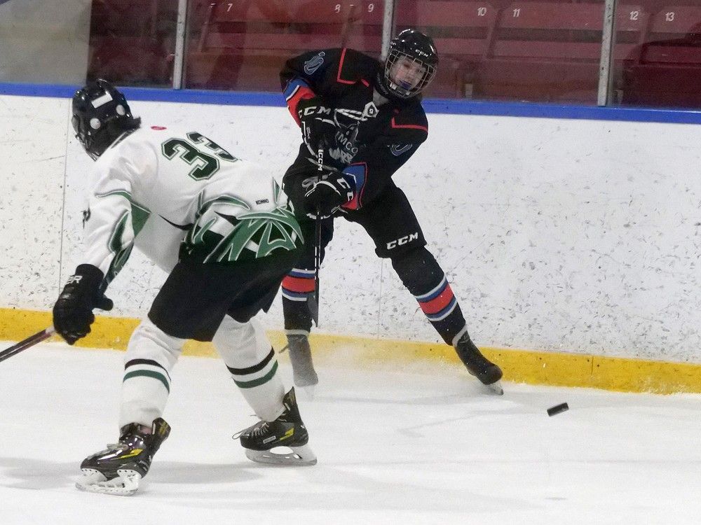 Marci Cook Memorial tournament raises cancer awareness | Simcoe Reformer