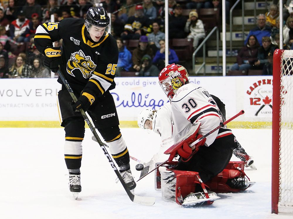 Sault's Doucette steps up for Sting | Sault Star