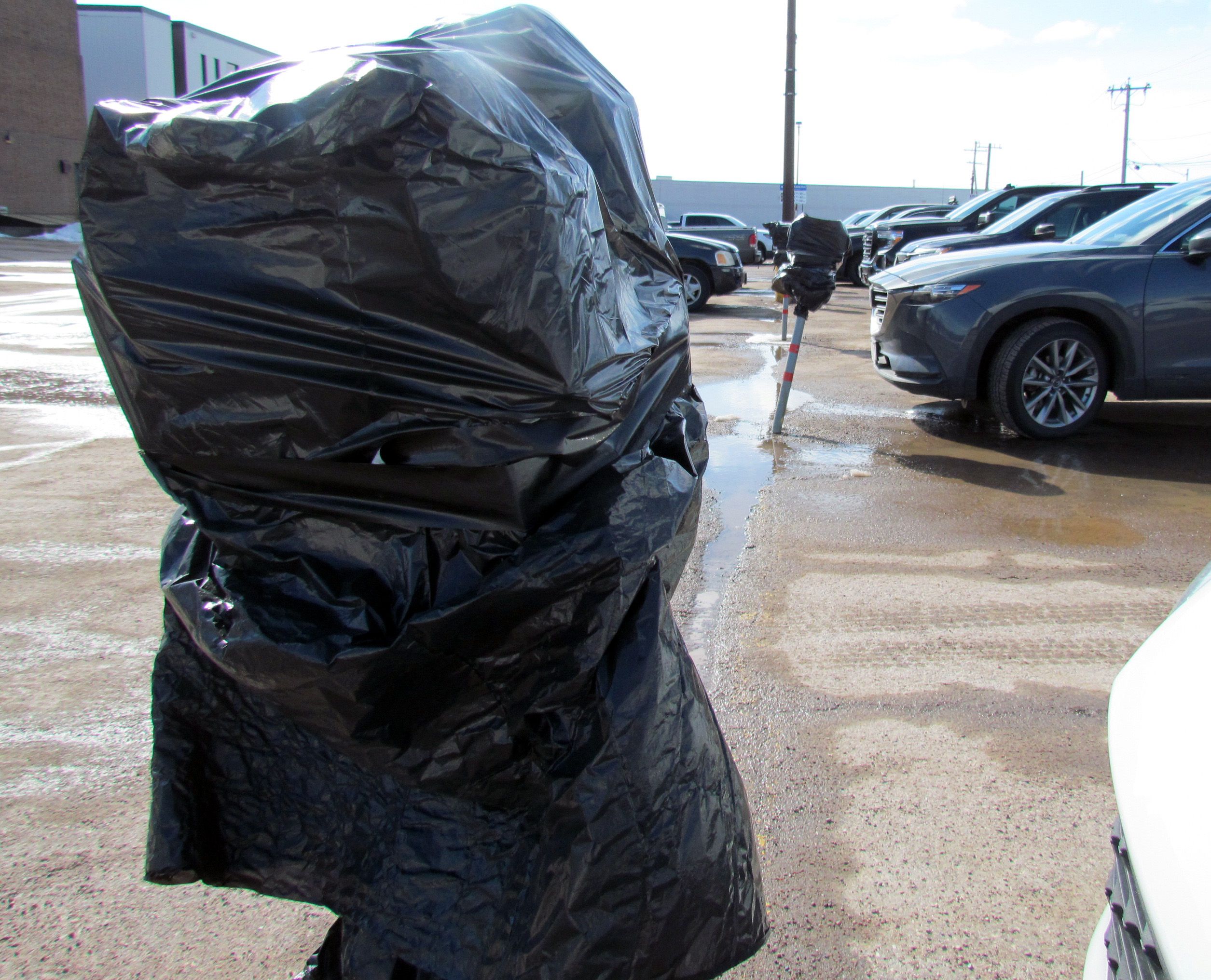 All bagged up | Sault Star