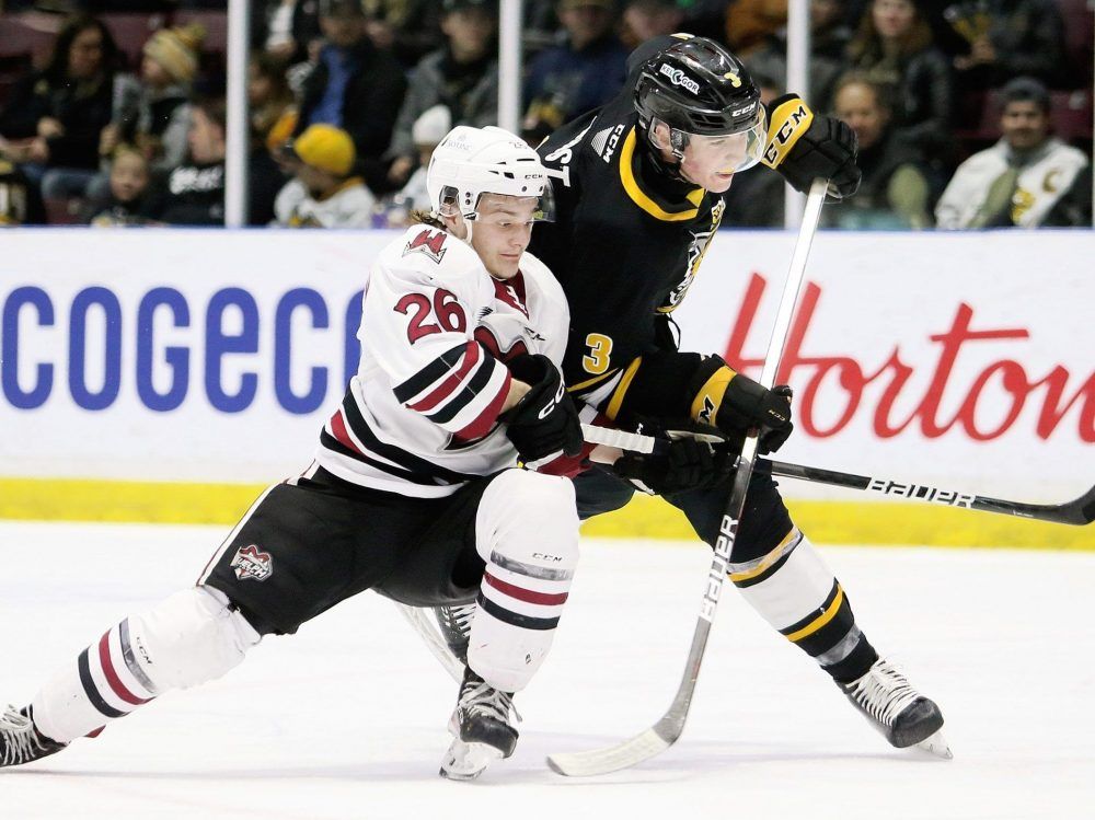 Sting's veteran defencemen shine in series finale win | The Sarnia Observer