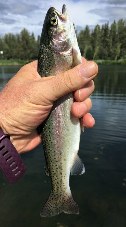 Fishing in Peace Country and prioritizing conservation efforts | Grande ...