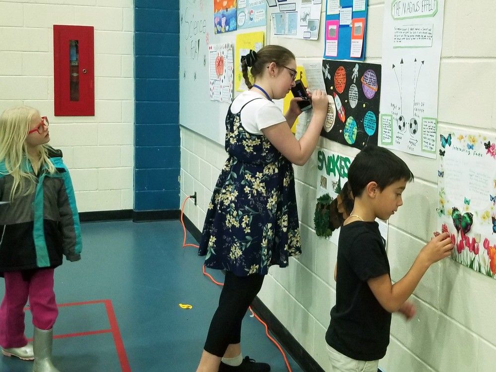 A solid restart for the United Counties Science Fair | Cornwall ...