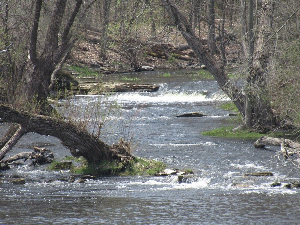 Water safety statement for Kingston region with rain, rising temps ...