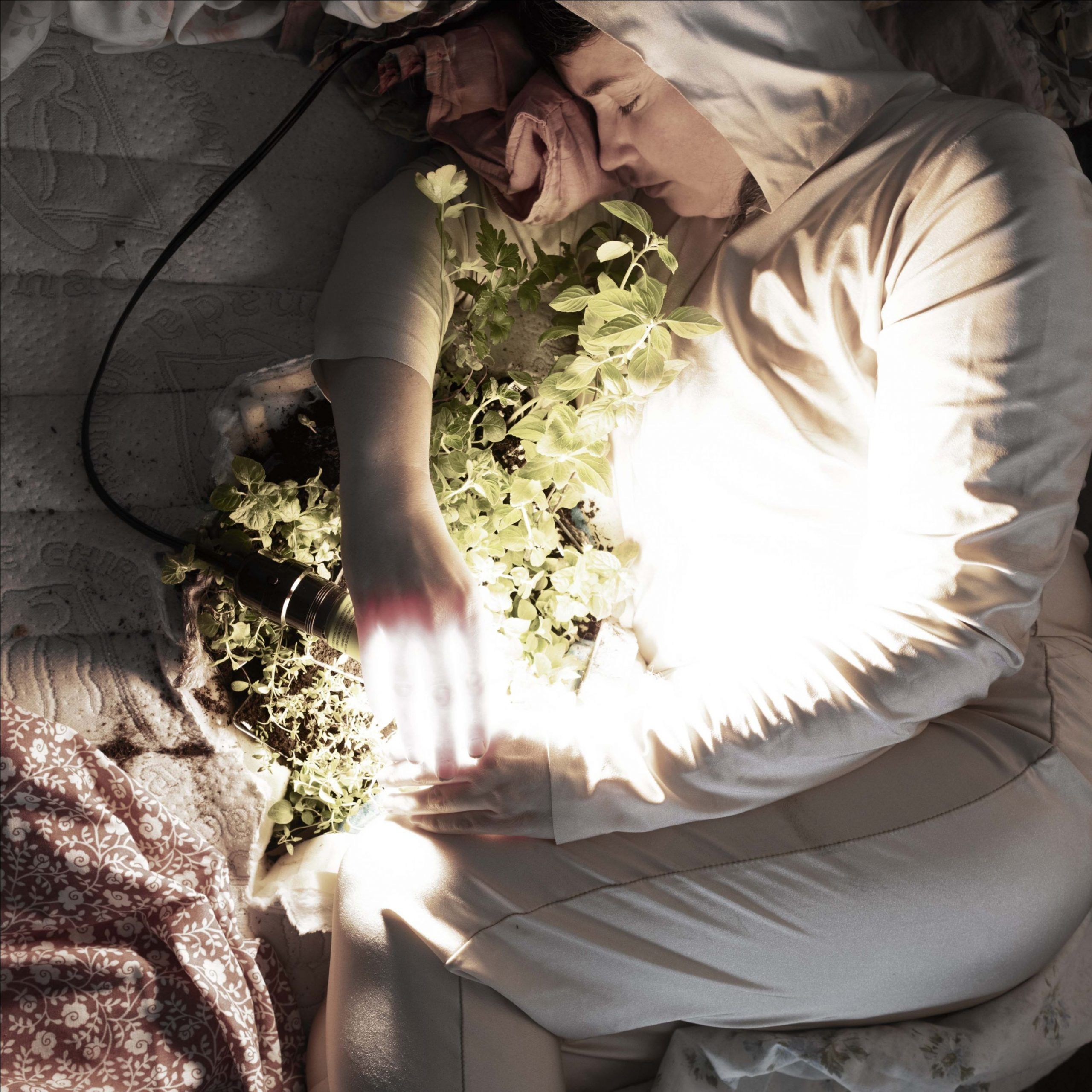 Seed the Skin, by Laura St. Pierre, opens in Sudbury | Sudbury Star