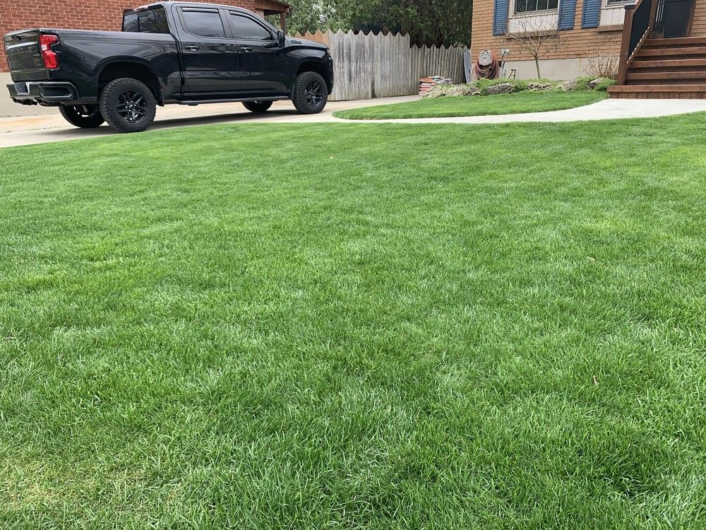 GARDEN CLIPPINGS: Most lawns could use a spring shot in the arm | The ...