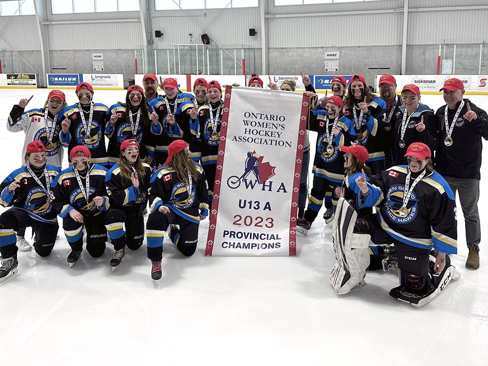 Local squads win gold at OWHA provincials | Owen Sound Sun Times