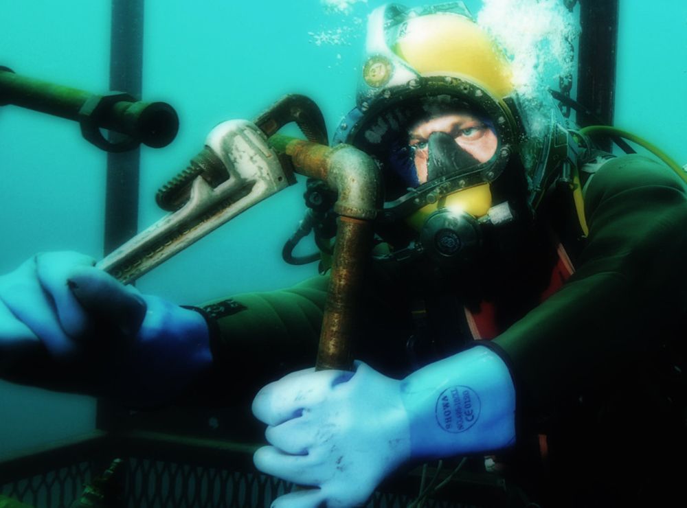 Seneca College to cancel underwater skills program with deep-dive ...